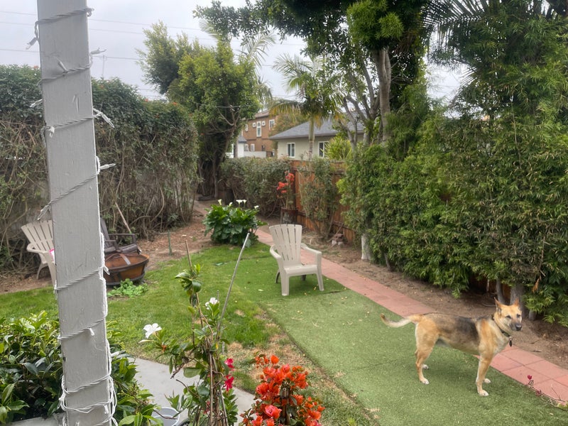 'Charming Beach Cottage in Redondo Beach' Room to Rent from SpareRoom